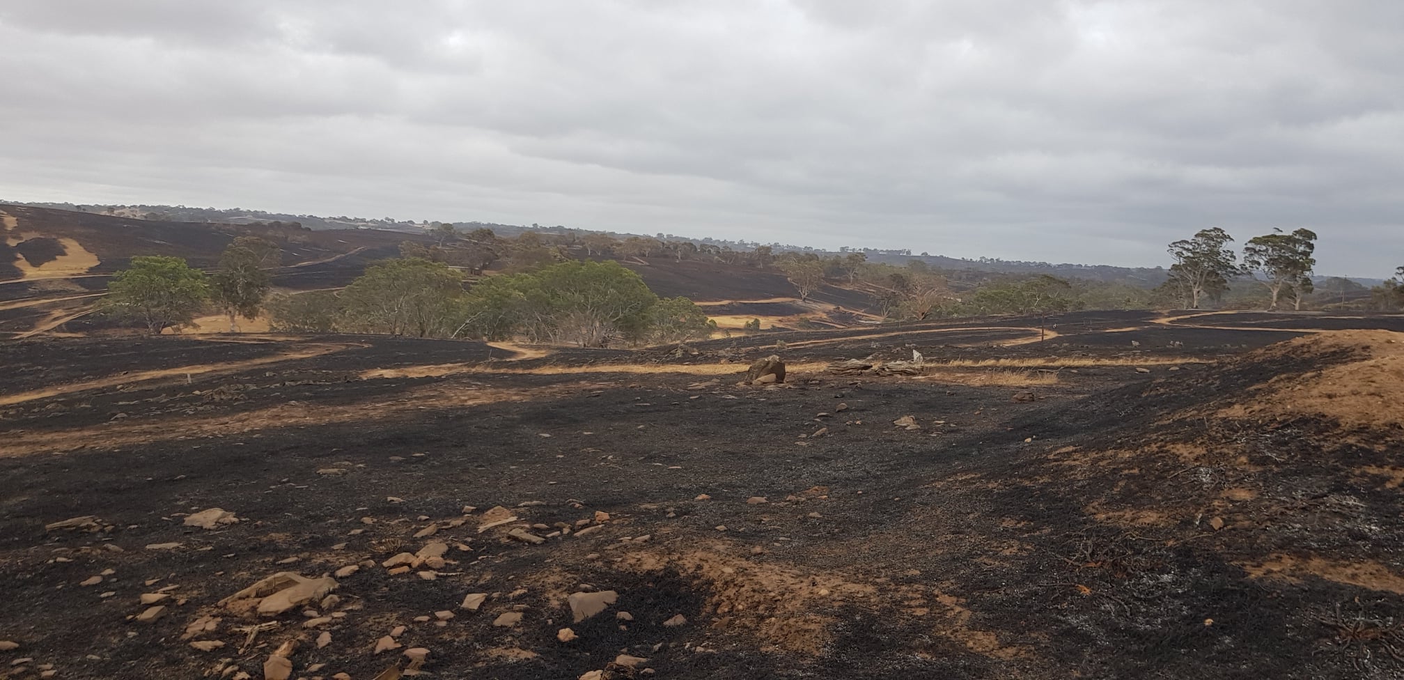 ACUSA Park - SET TO RISE UP FROM THE ASHES!! - Motorcycling SA