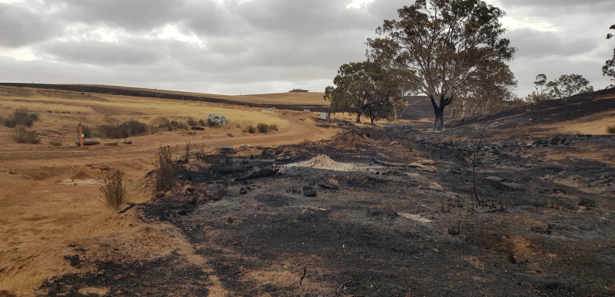 ACUSA Park - SET TO RISE UP FROM THE ASHES!! - Motorcycling SA