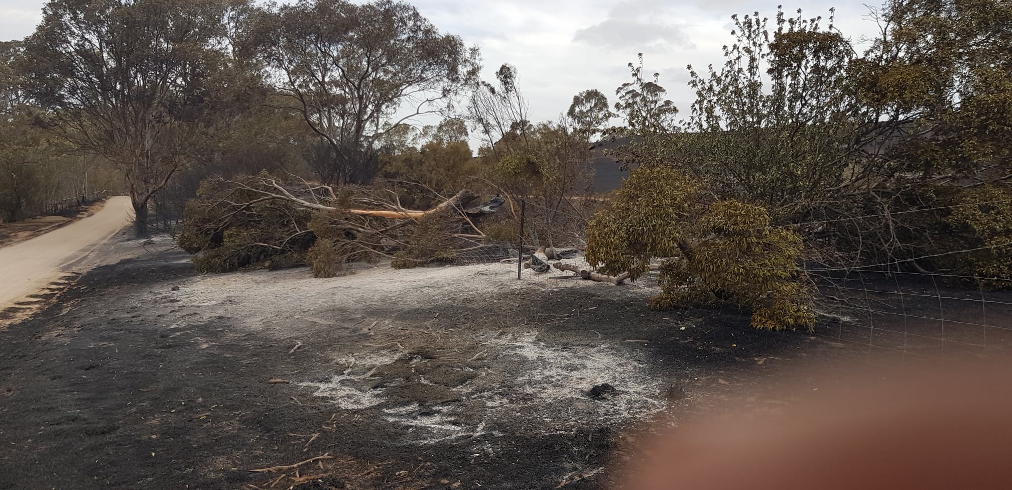 ACUSA Park - SET TO RISE UP FROM THE ASHES!! - Motorcycling SA