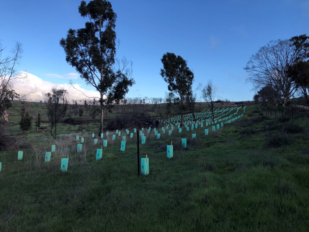RESTORING ACUSA PARK TOWARD A BETTER, GREENER FUTURE. - Motorcycling SA
